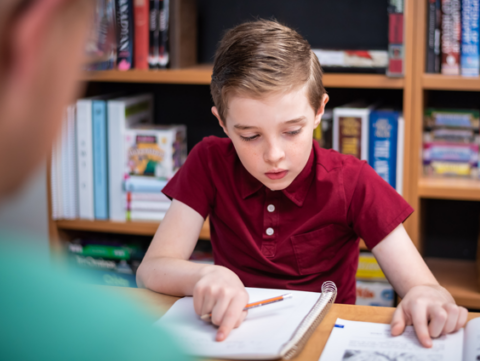 Learning Differences - Geerlinks Educational Therapy